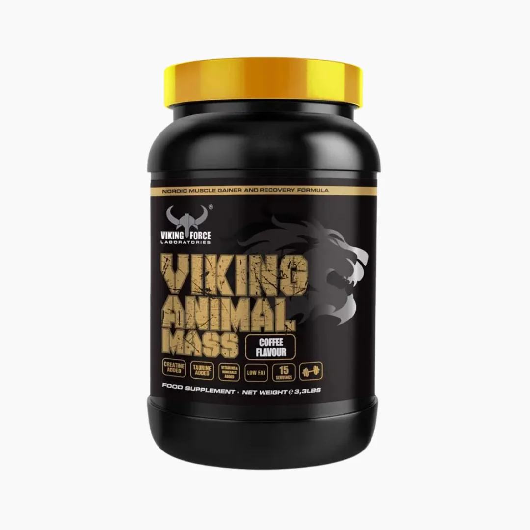 Viking Mass Gainer Protein Powder – 100g Serving with 20g Protein ...